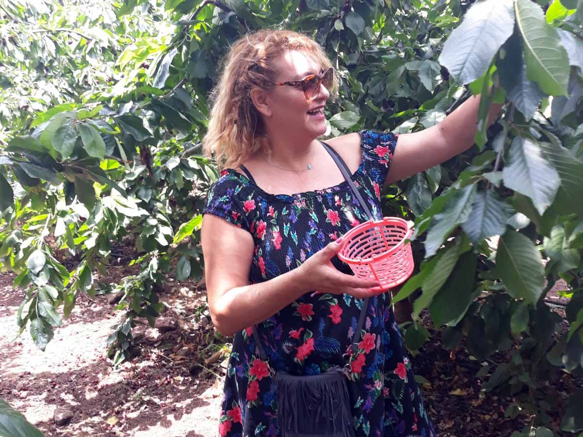 טו' בשבט בריא במיוחד | עמקניוז - חדשות העמק